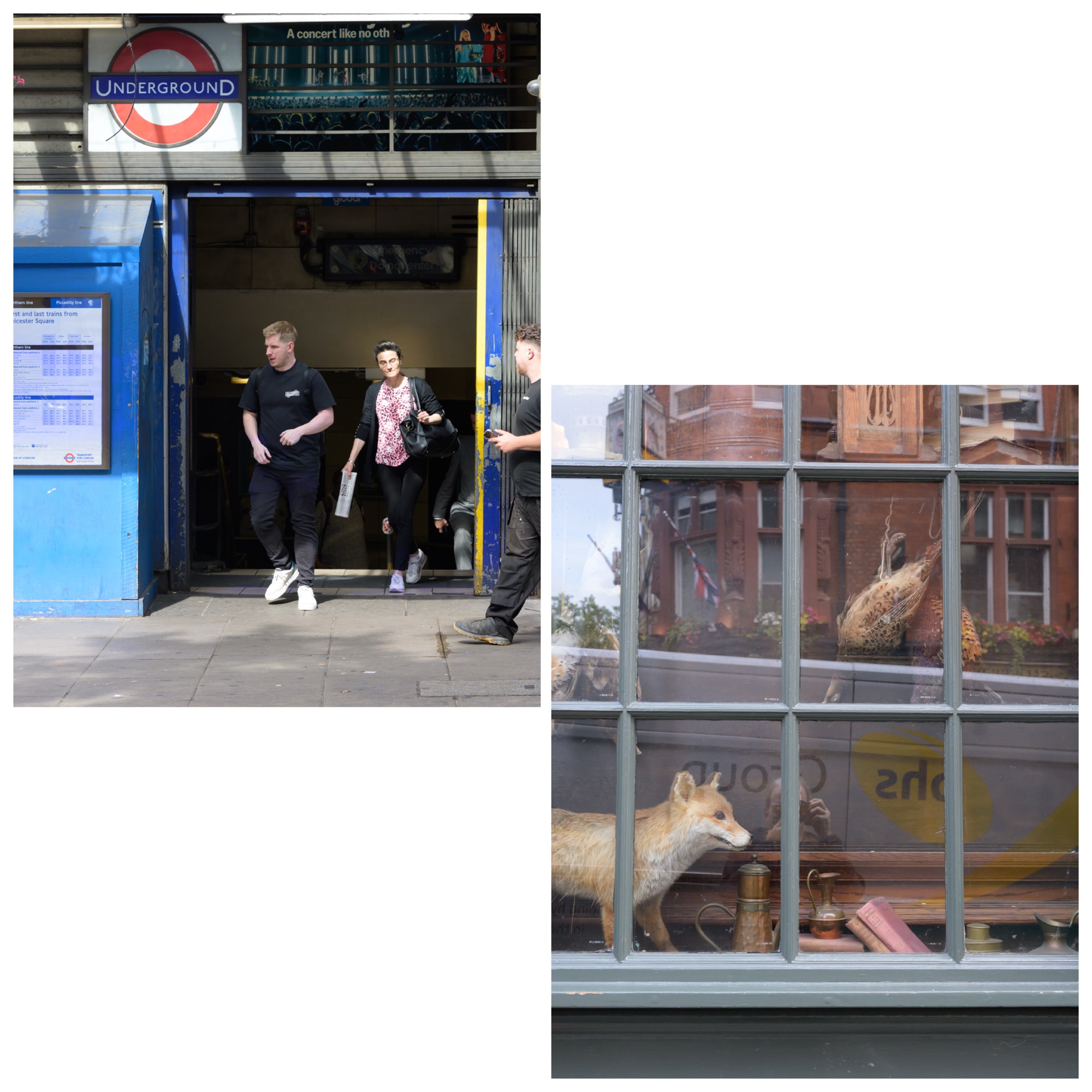 Monday, July 7: A sort-of messed up day | The Bassman Blog